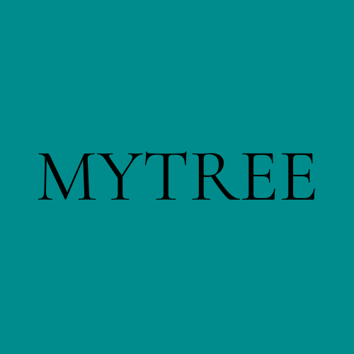 Chairs – MYTREE
